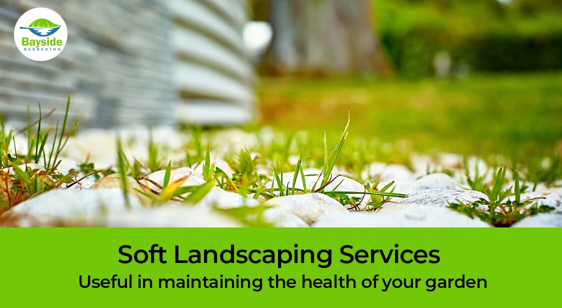 Exploring Soft Landscaping Services | Creating Lush Gardens That Last ...