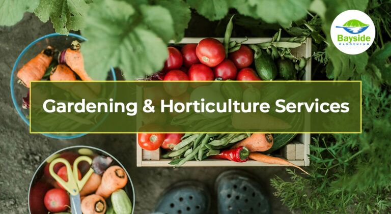 Gardening and Horticulture Services - What to Expect| Horticulture And ...